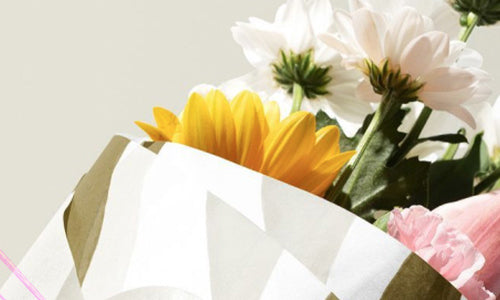 Your One-Stop Florist For Plants & Flowers in Singapore – Lifestyle ...