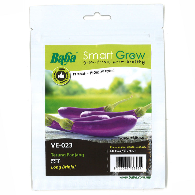 Baba Long Brinjal – Lifestyle@SingSeeSoon